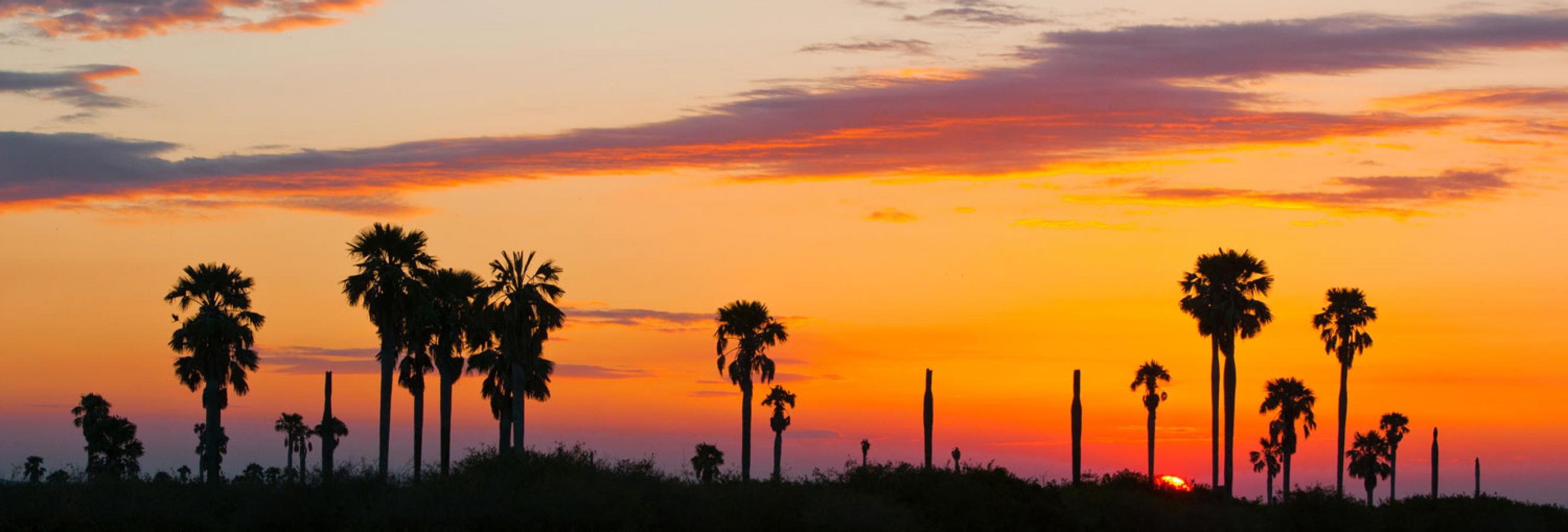 Home | SADC TFCA Intranet